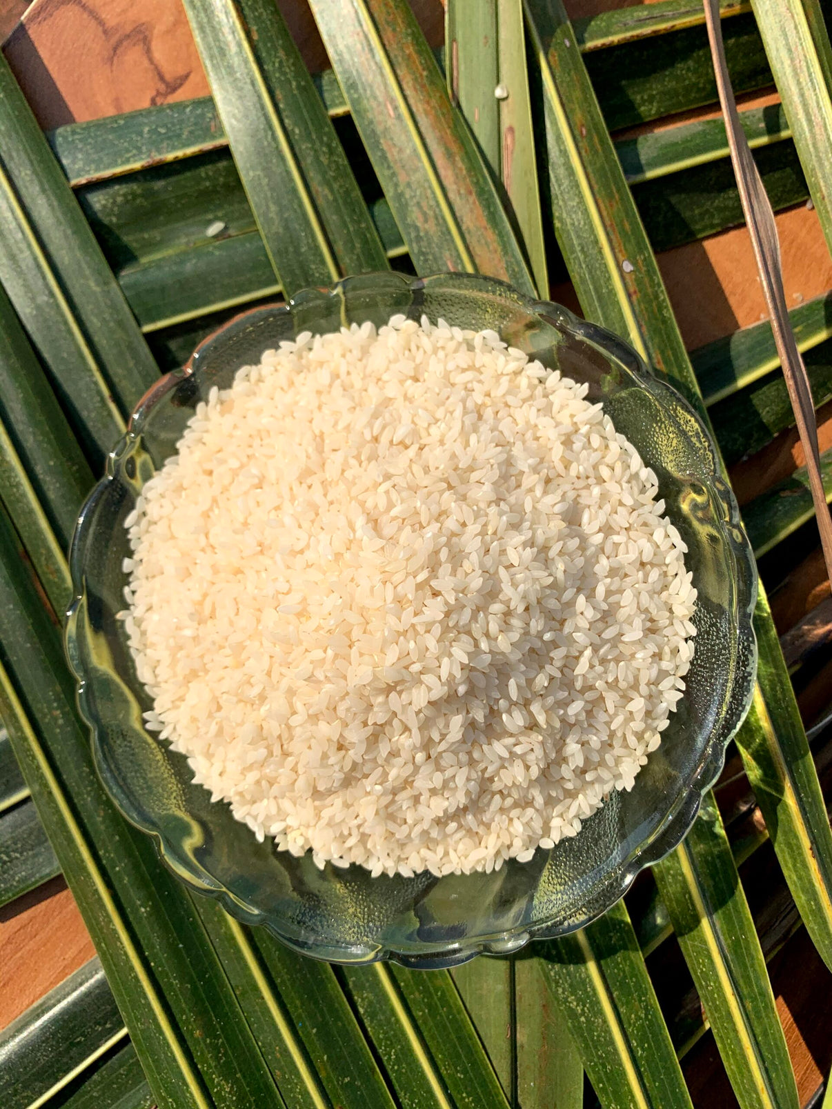 Seeraga Samba/ Jeerakasala/ Kaima Rice (1 kg) – Goodness Farm