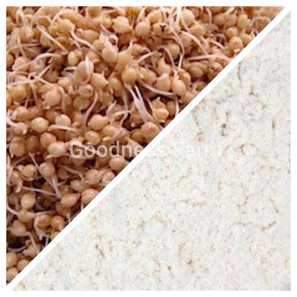 Sprouted Little Millet Flour (500 G) – Goodness Farm