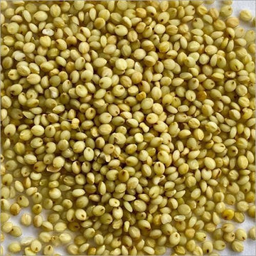 Millets (Sprout Activated) – Goodness Farm
