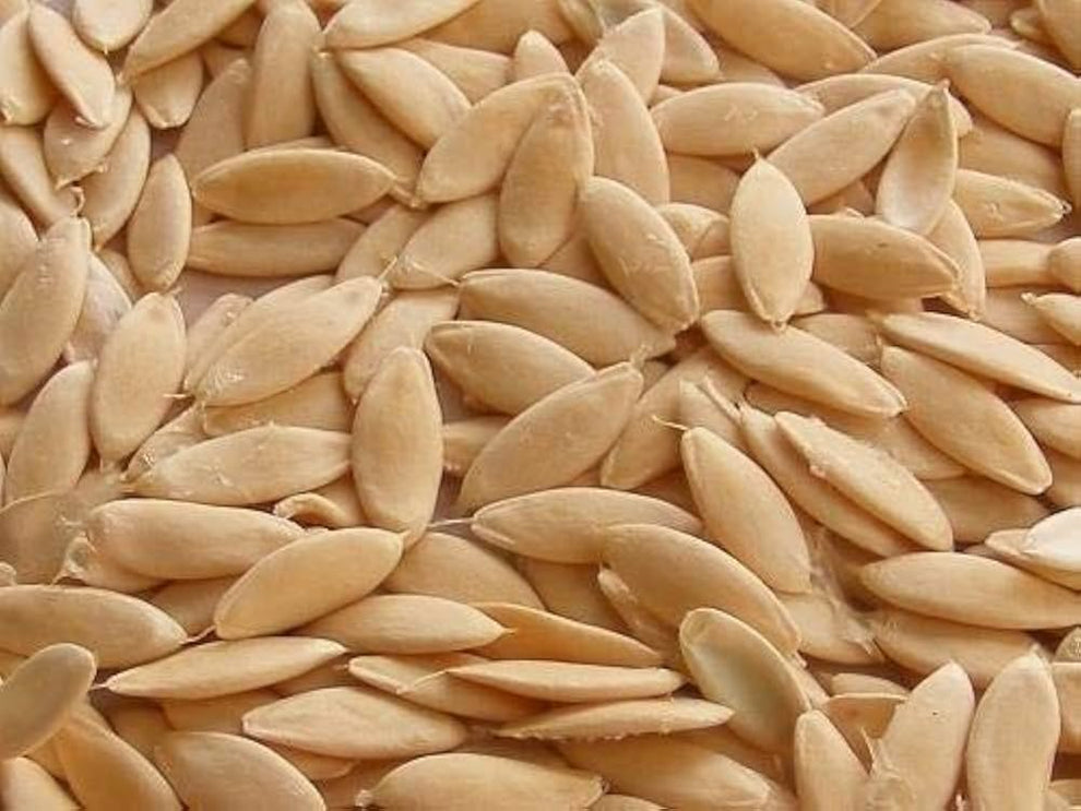Ash Gourd Seeds Sprout Activated (100 G) – Goodness Farm