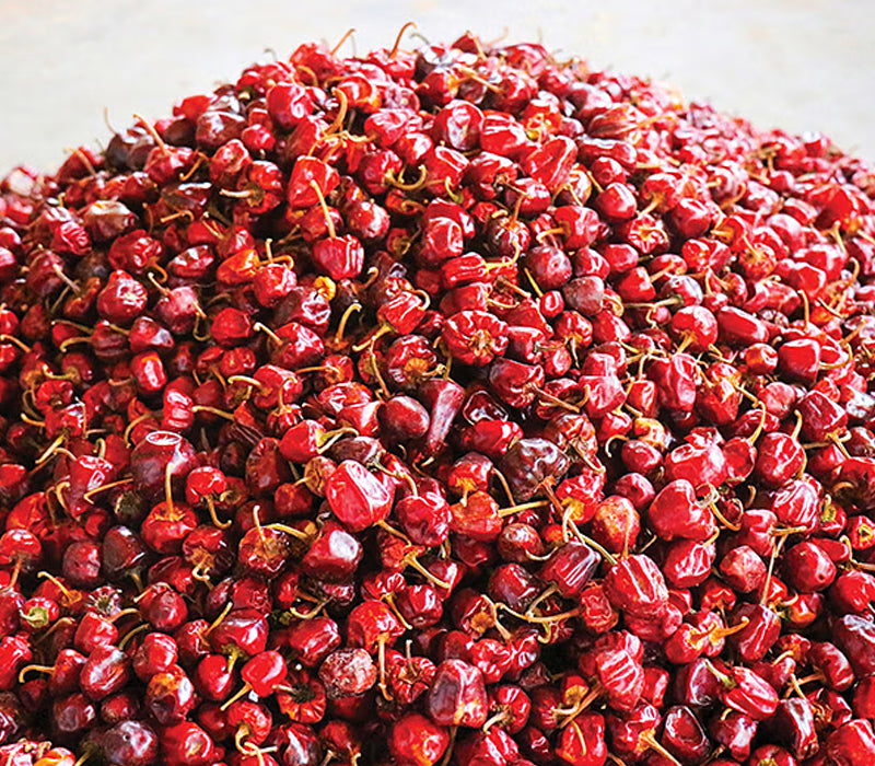 Ramnadu Gundu Chilli (100 G) – Goodness Farm