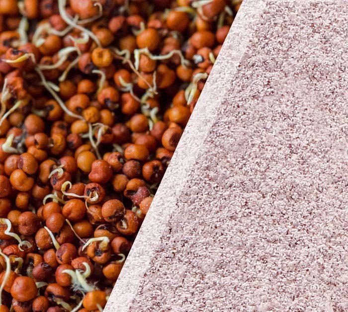 Sprouted Red Jowar Flour (500 G) – Goodness Farm